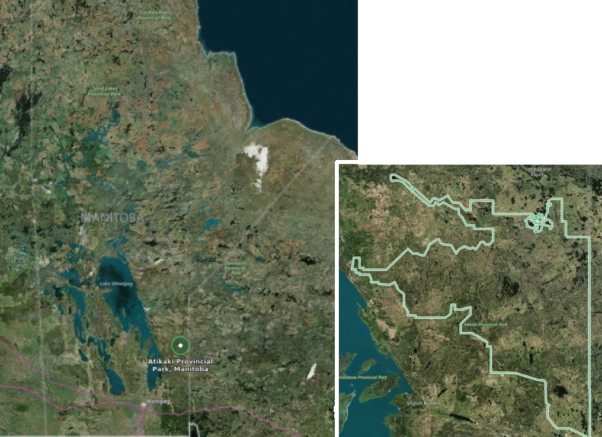 Six Months In The Wilderness