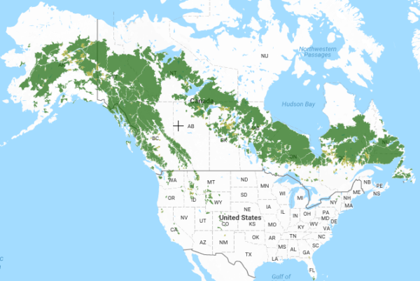 6 Principles for Extended Wilderness Survival – Survival Skills Guide