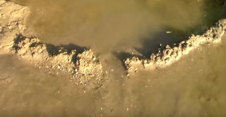 Best 6 Primitive Survival Fish Traps (How To)