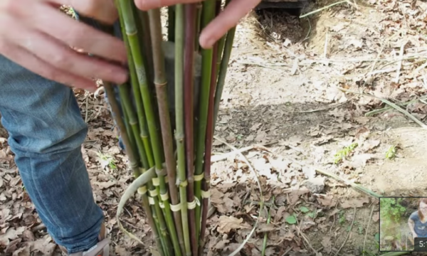 Best 6 Primitive Survival Fish Traps (How To)