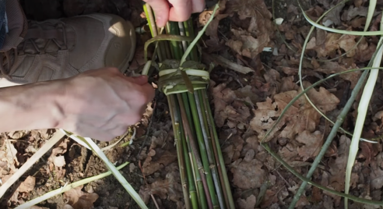 Best 6 Primitive Survival Fish Traps (How To) – Survival Skills Guide