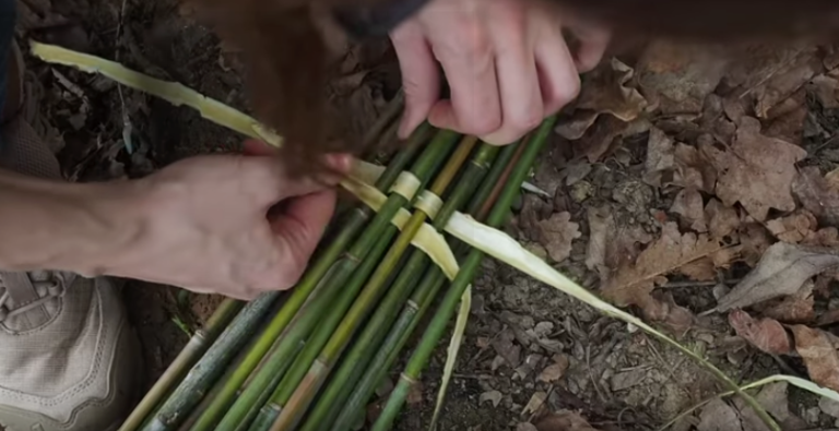 Best 6 Primitive Survival Fish Traps (How To)
