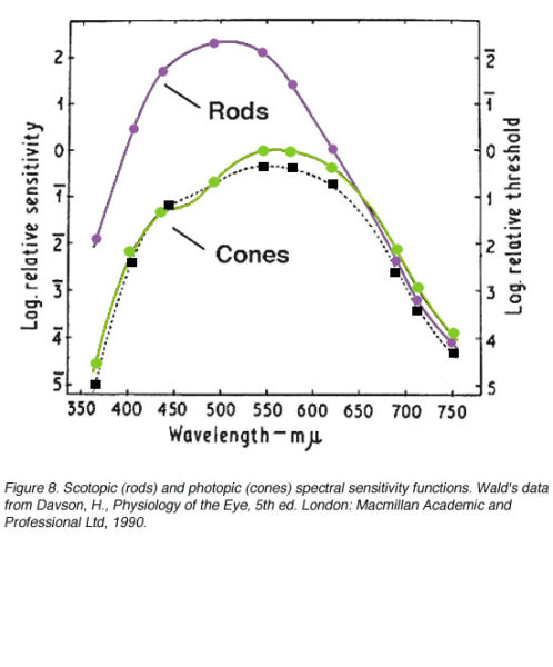 rods-cones-night-vision-color - Survival Skills Guide