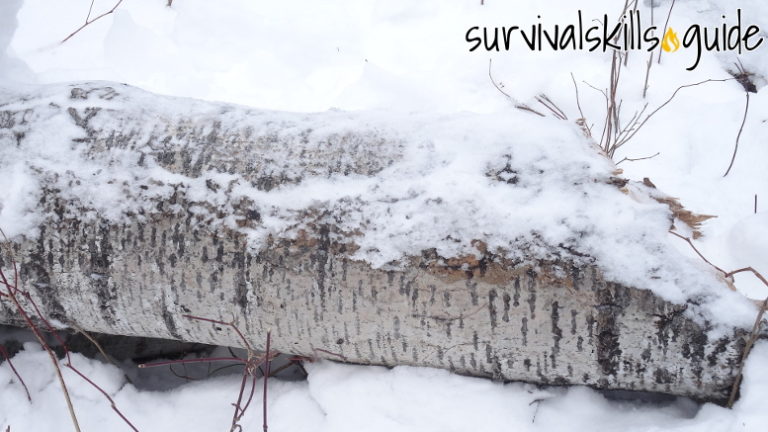4 Unconventional Ways to Melt Snow for Water and Survival – Survival ...